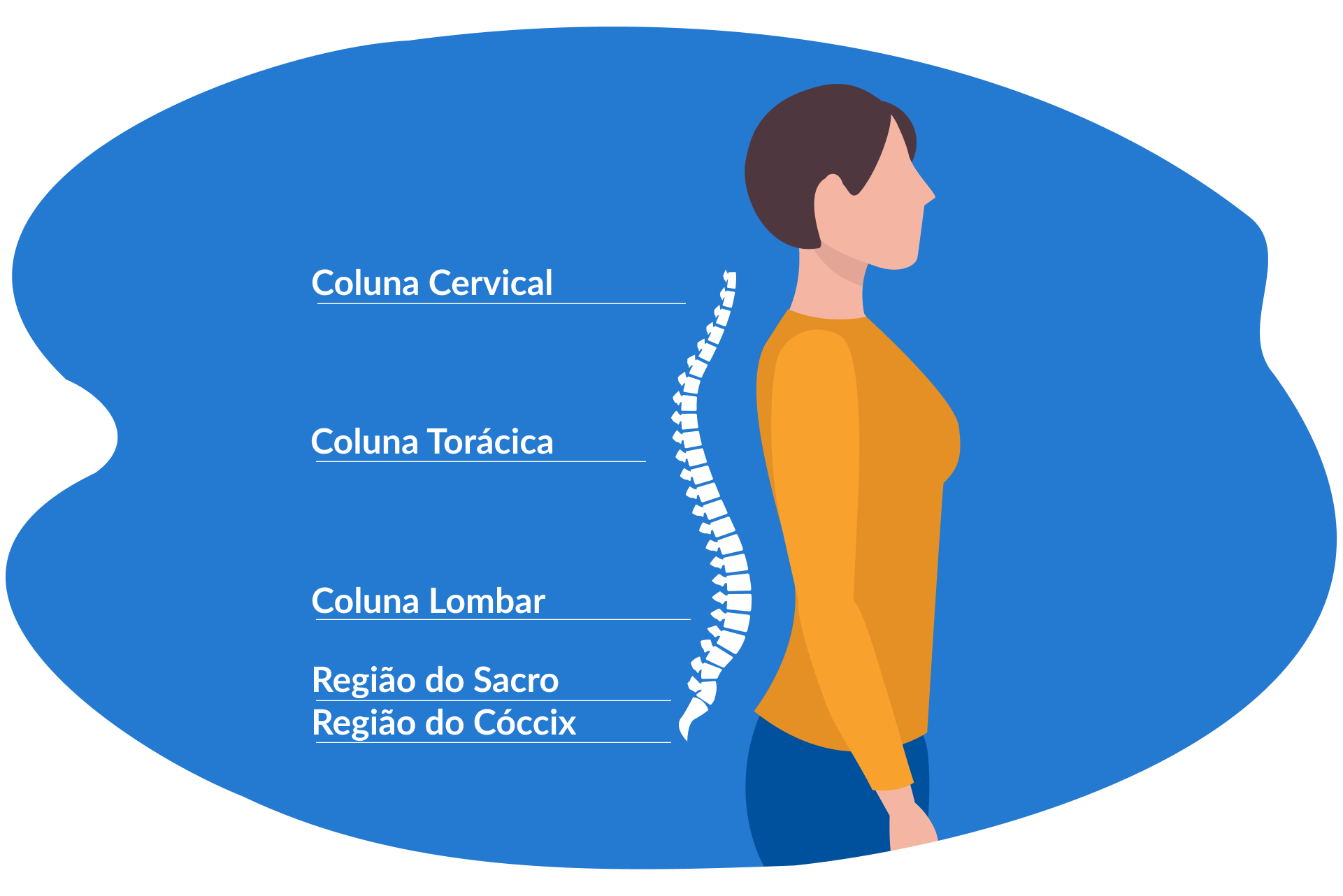 Escolha a Melhor Almofada Cervical: Cuide da sua Coluna | 2026