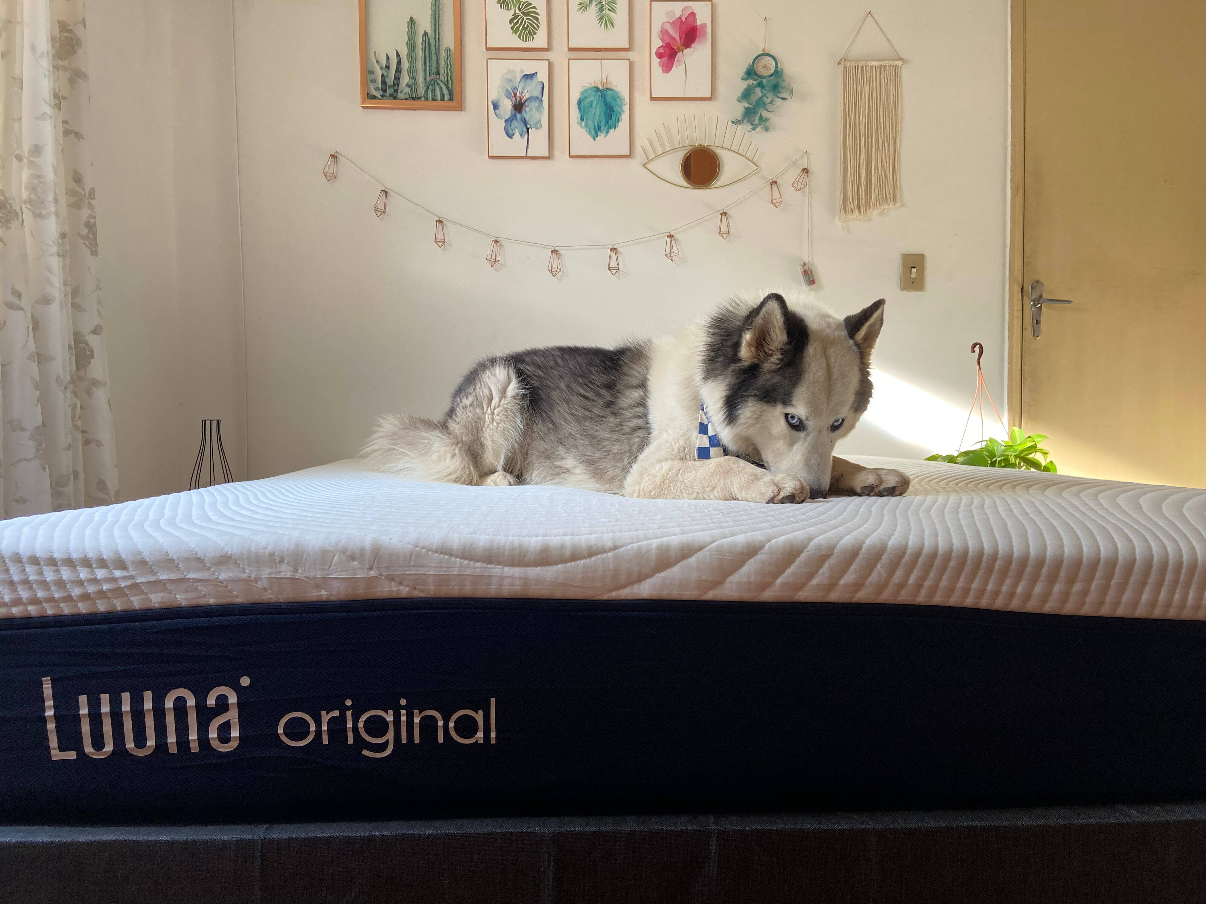 Colchão Luuna Original | 2025
