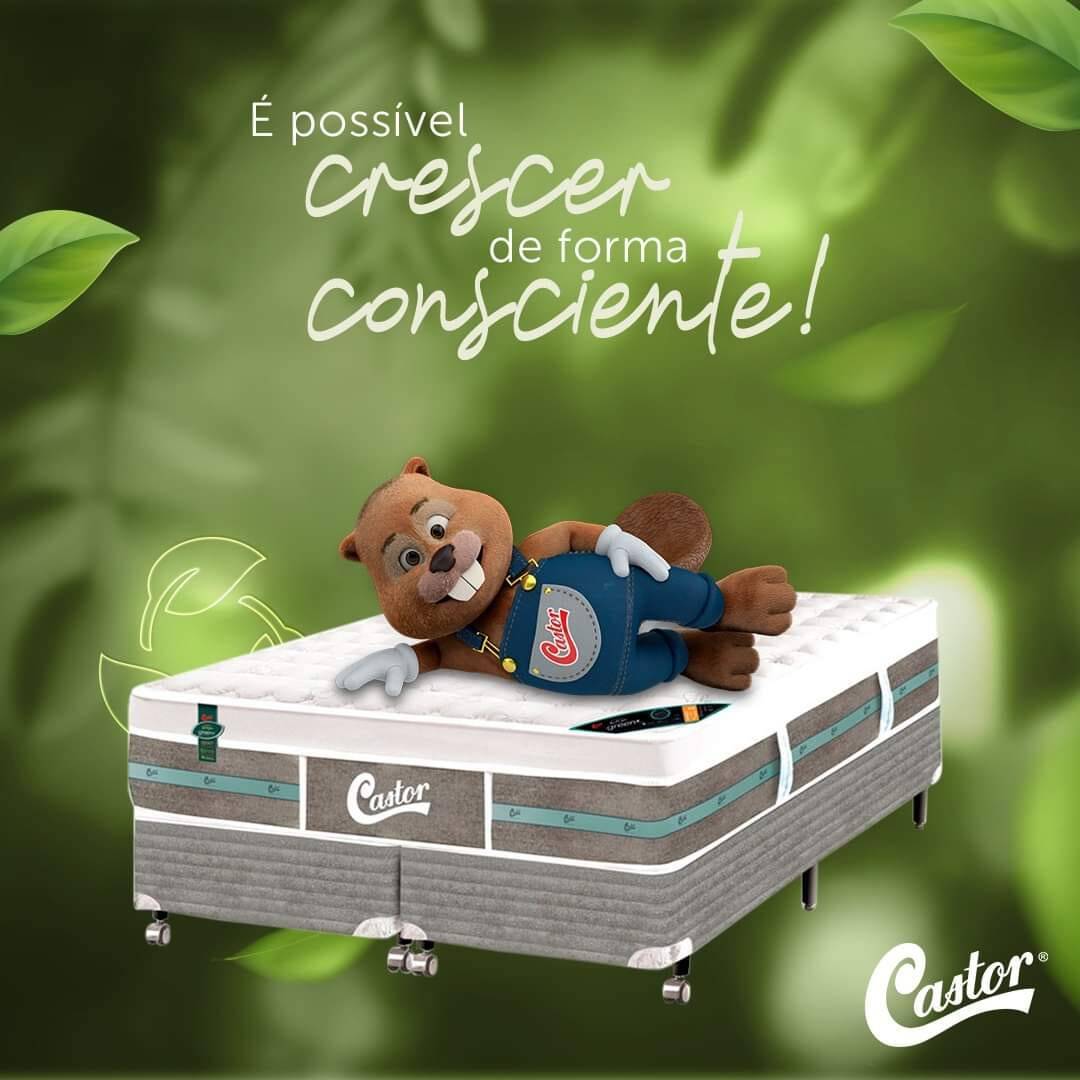 Castor Colchões - Veja nossa resenha sobre essa marca de colchões (2023)